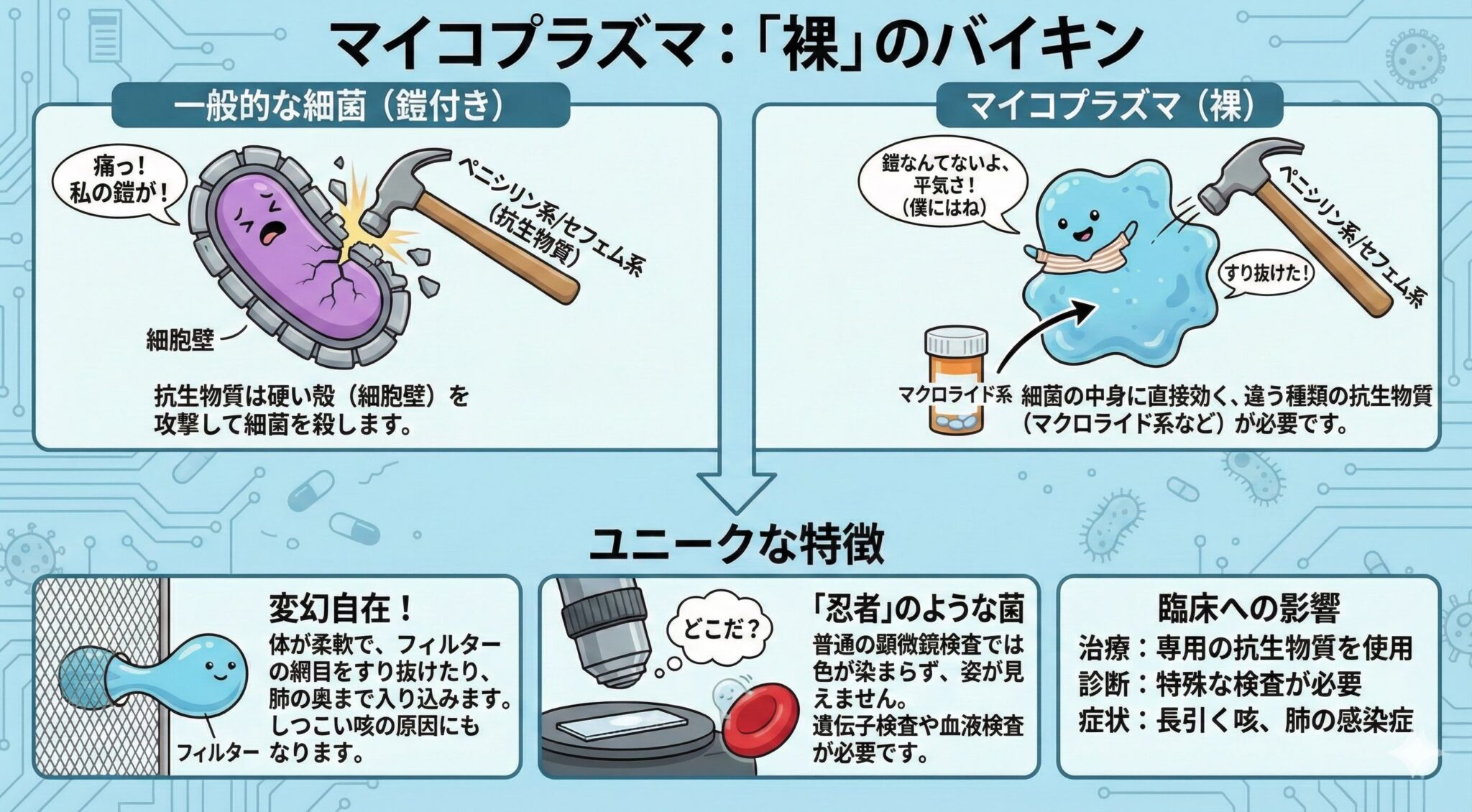 マイコプラズマ感染症 ｜ よくあるご質問｜ましもと内科呼吸器科